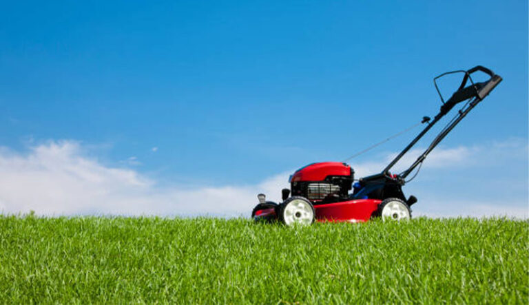 Best Lawn Mower For Rough Terrain - Top 5 Reviews